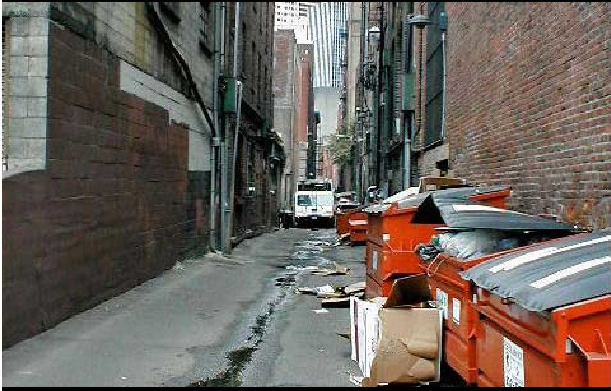 Alley, Alley, in Come Free - Sightline Institute