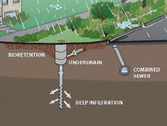 Underdrain illustration | Sightline Institute