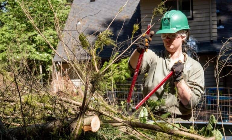 Oregon Has A Wildfire Plan, It Begins With The Vital Role Of Wildfire ...