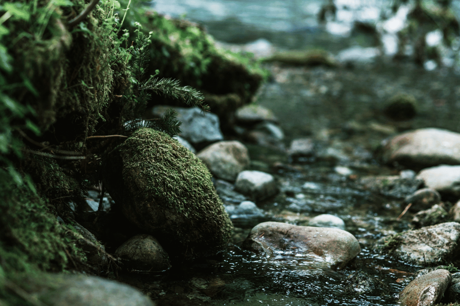 Our Work | Sightline Institute