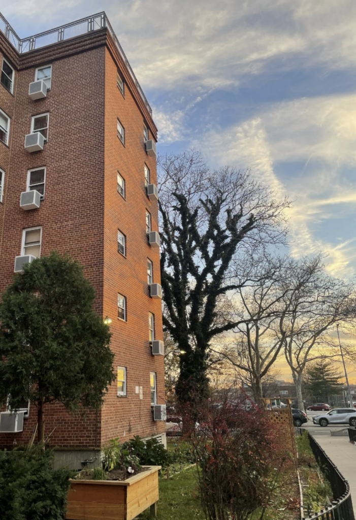 Katie Wilson Can Be Seattle’s Climate Mayor for Renters | Sightline ...